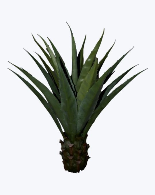 Products – ROSEDAL